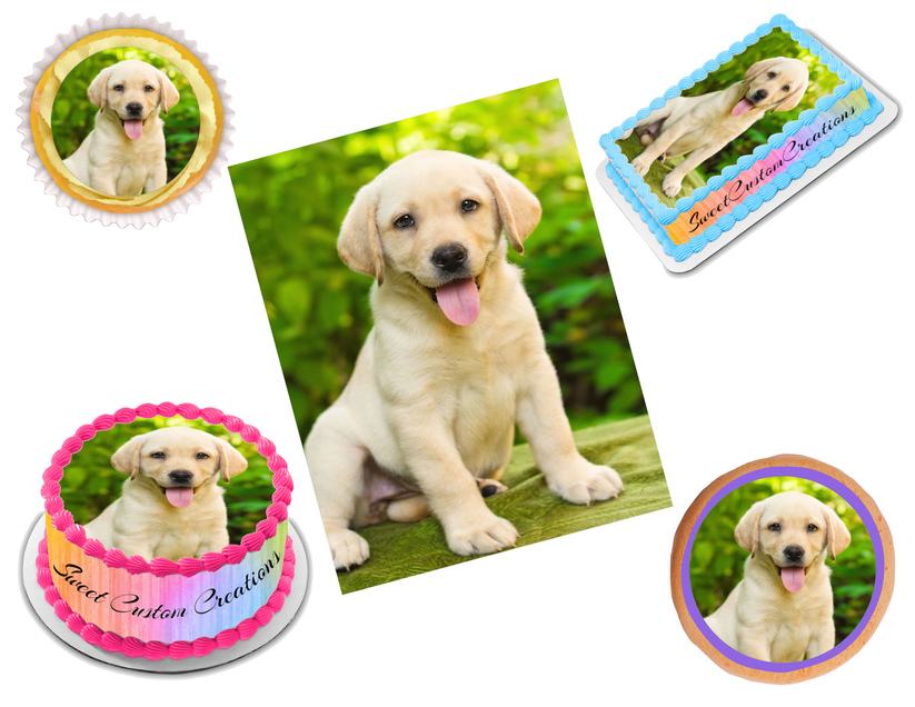 Labrador Edible Image Frosting Sheet #1 Topper (70+ sizes) – Sweet ...