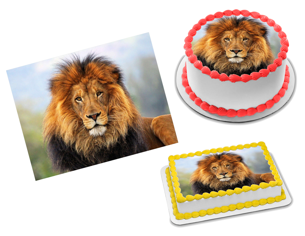 Lion Edible Image Frosting Sheet #22 (70+ sizes) – Sweet Custom Creations